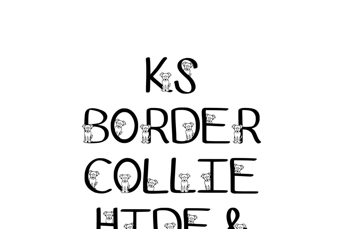 Ks Border Collie Font - Free Download