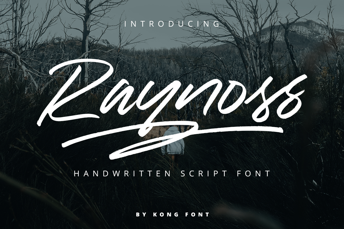 Raynoss Font | Fontkong | FontSpace