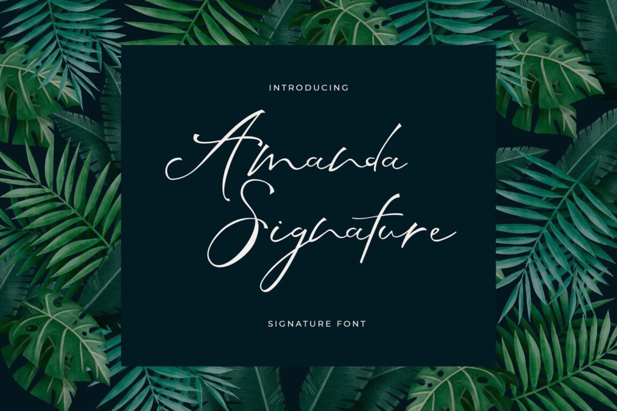 Amanda Signature Fancy Cursive Font - Free Download