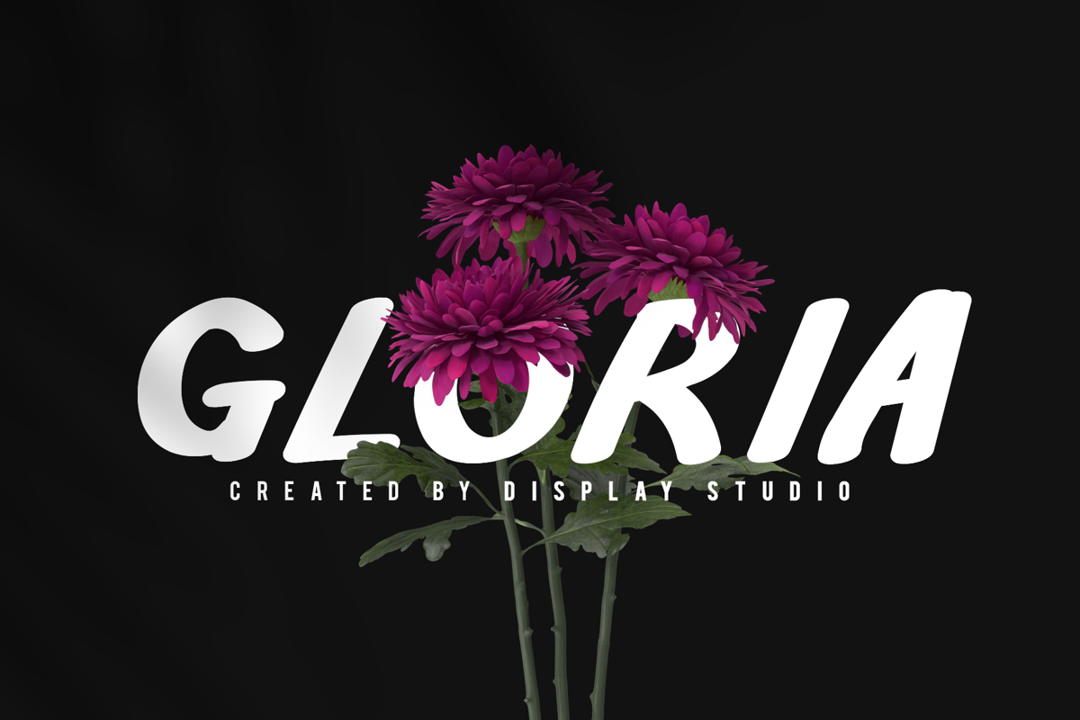 Gloria Font | DisplayStudio_ | FontSpace