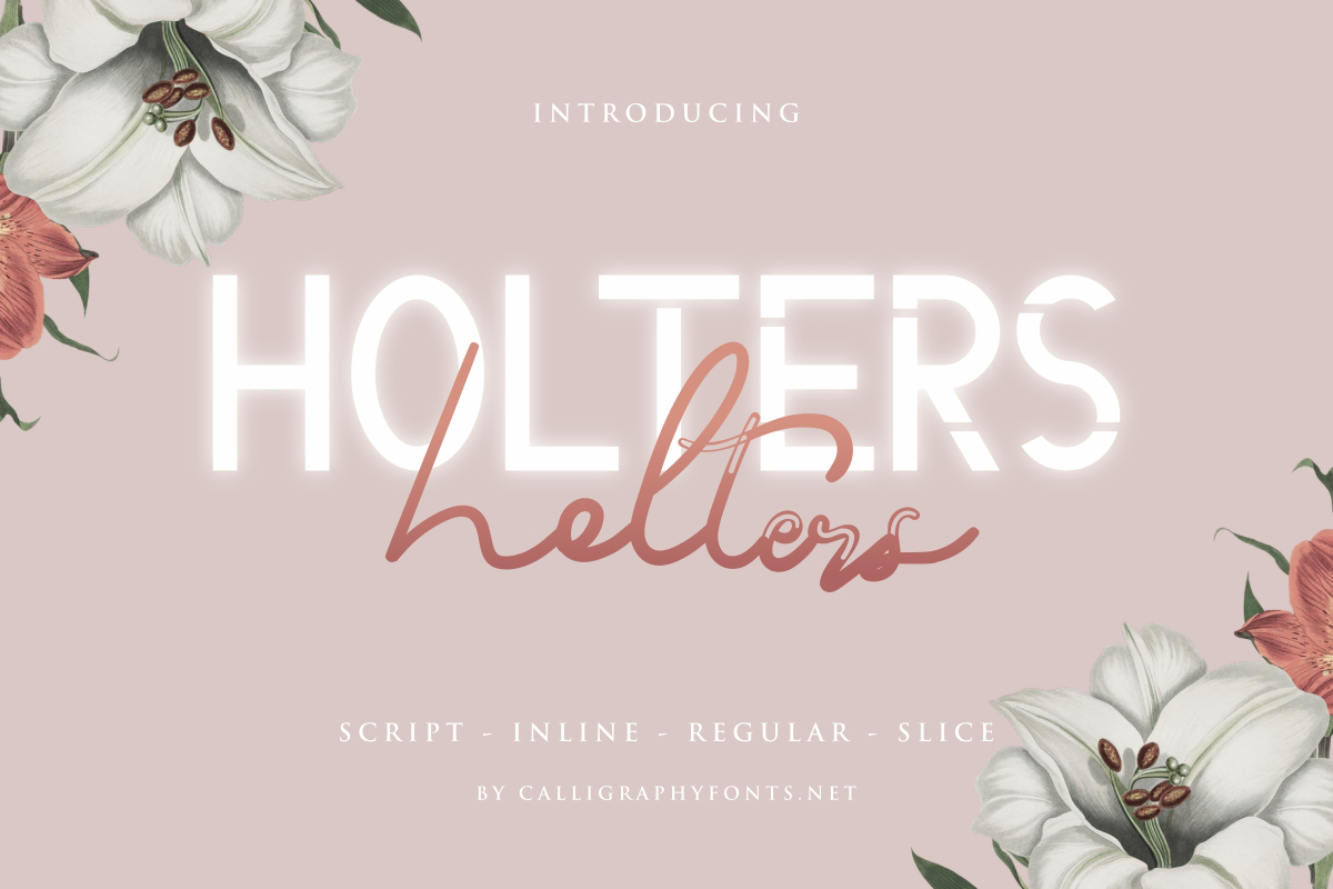 Holters Script Font | CalligraphyFonts.net | FontSpace