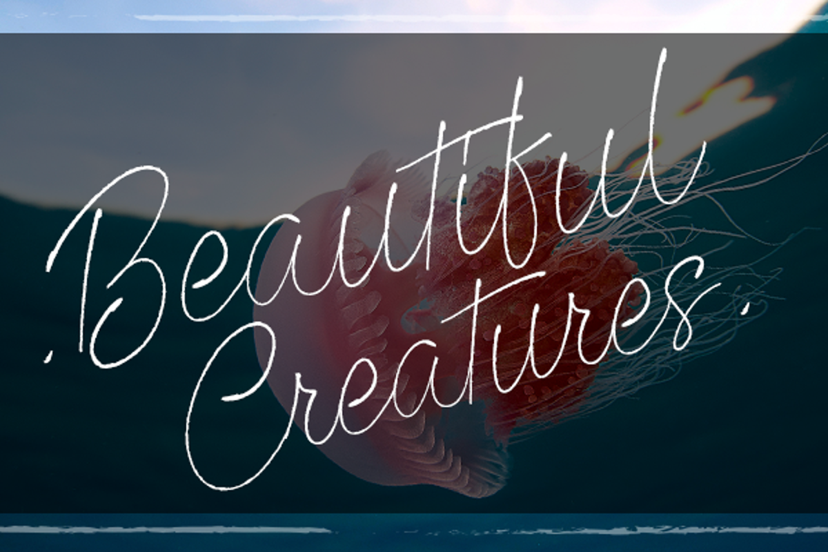 Beautiful Creatures Font | Octotype | FontSpace