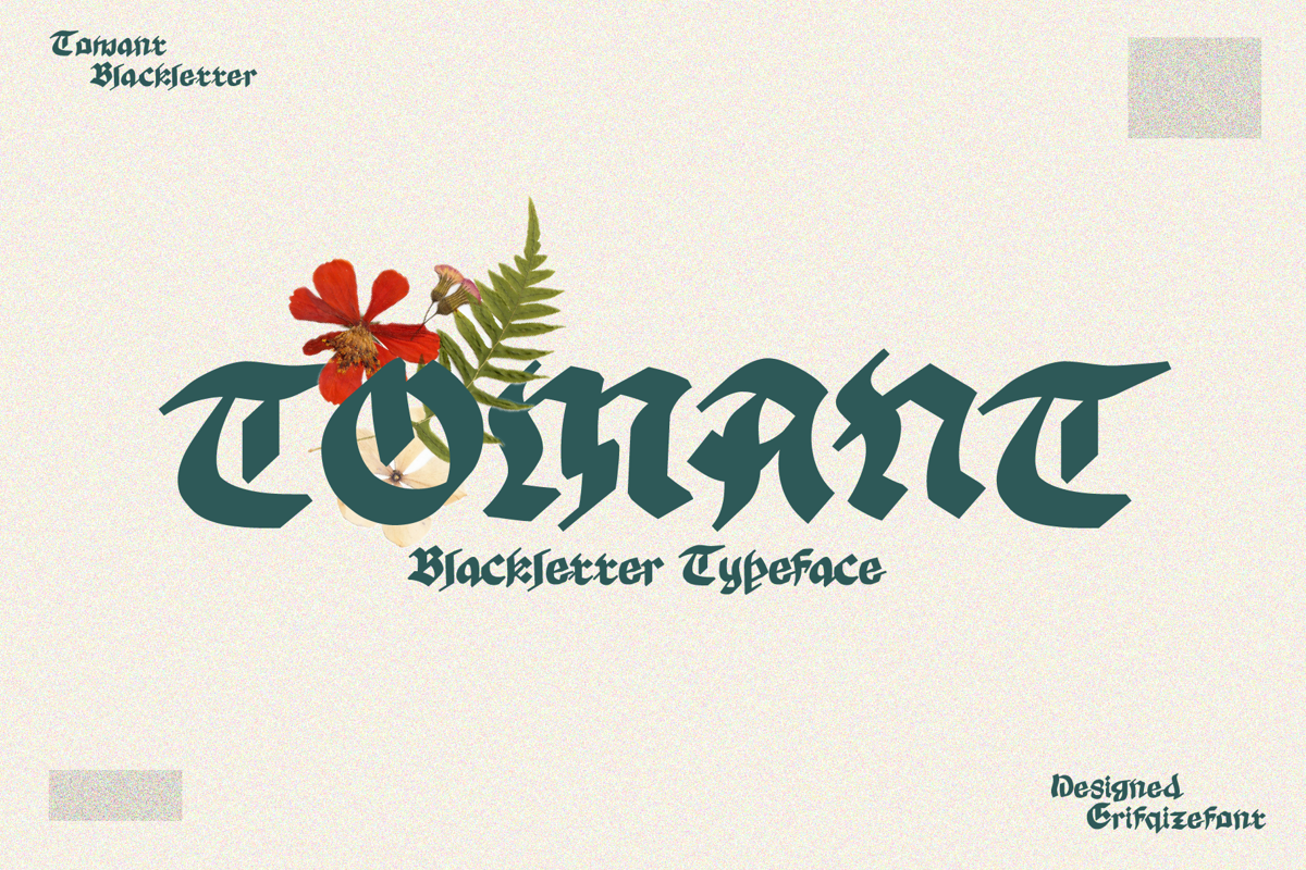 Tomant Blackletter Font - Free Download