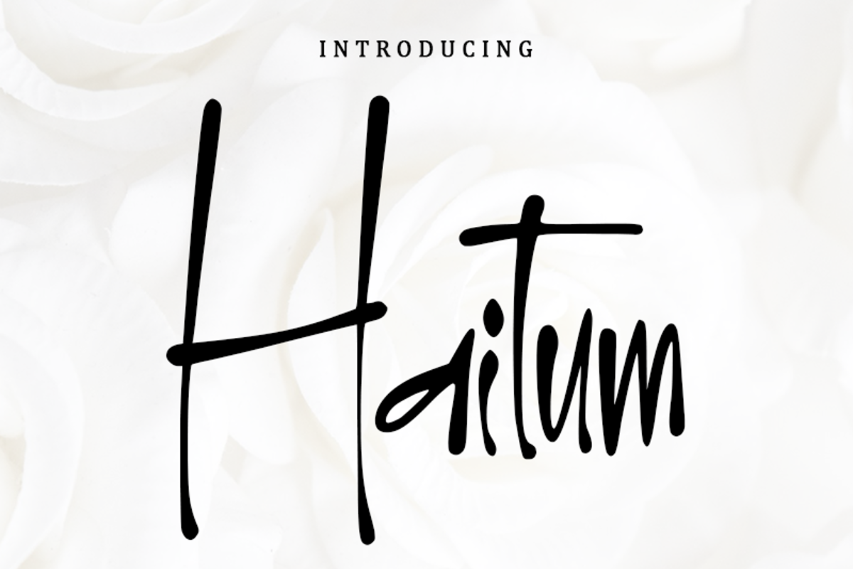 Haitum Font | Sakha Design | FontSpace
