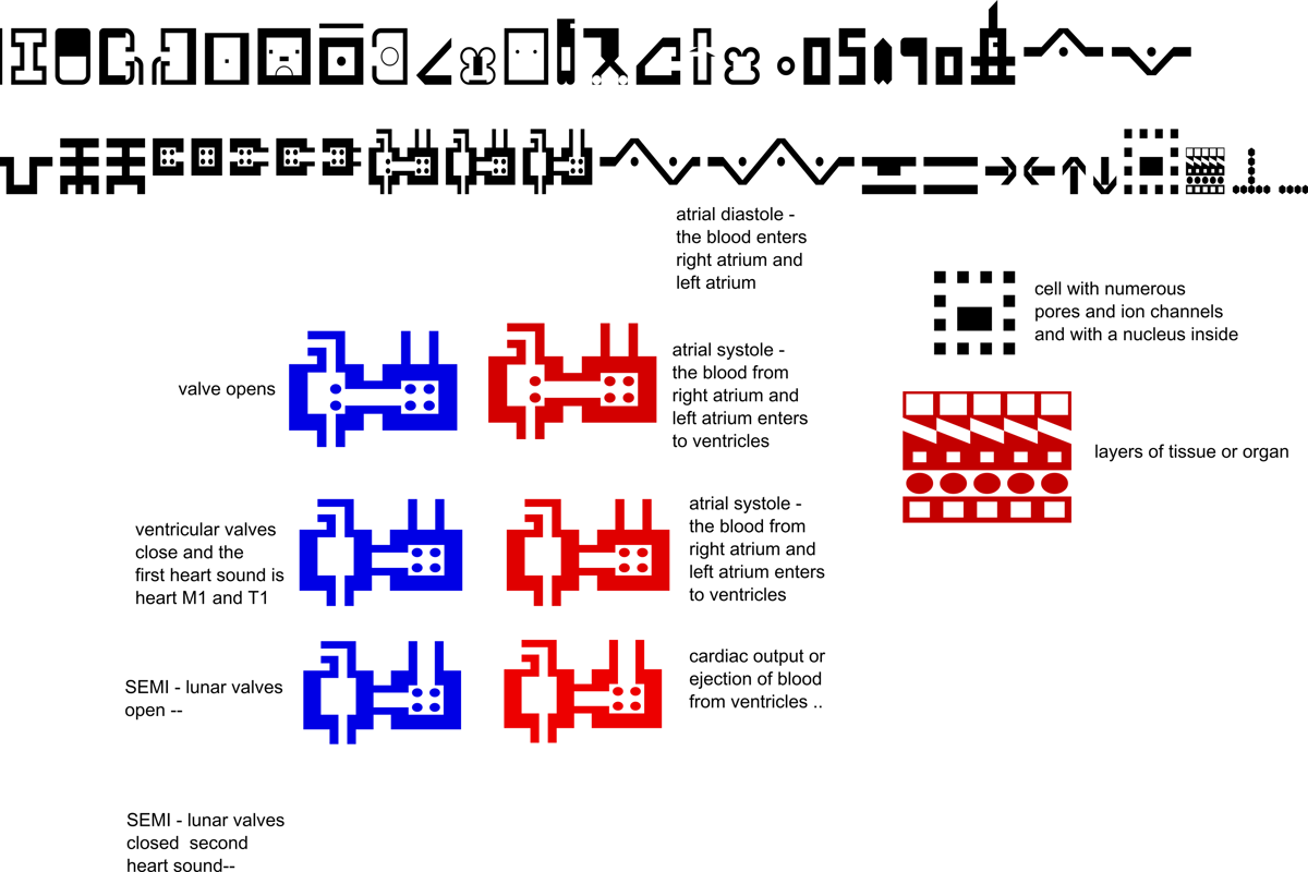 Anatomy Font | KSHTRGYN | FontSpace