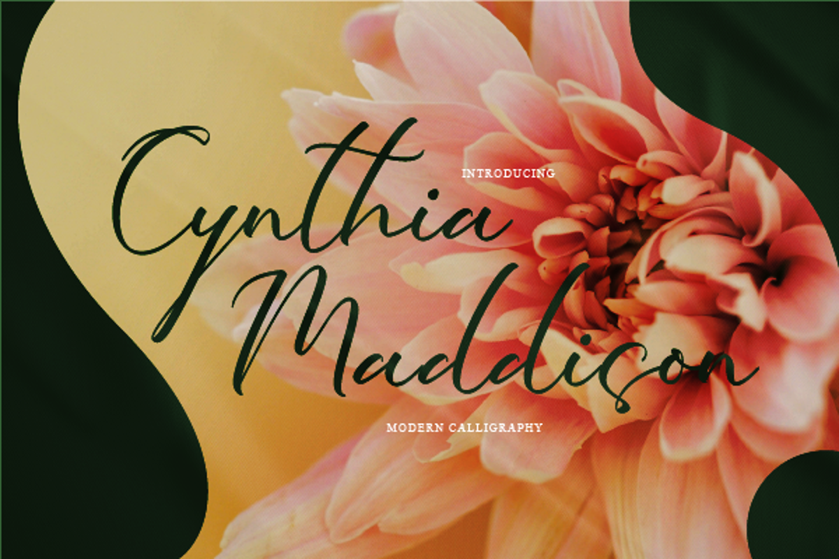 Cynthia Maddison Font | Synthetic Type | FontSpace