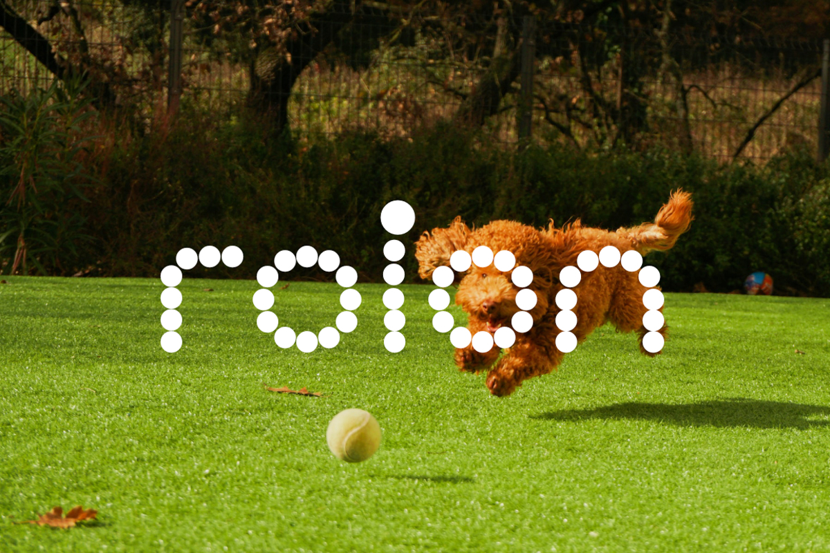 Roinert Font | ffeeaarr | FontSpace