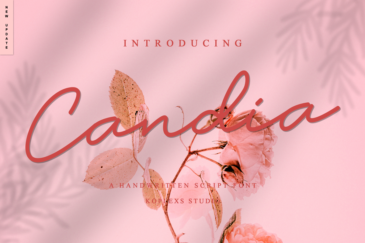 Candia Script Font | Koplexs Studio | FontSpace