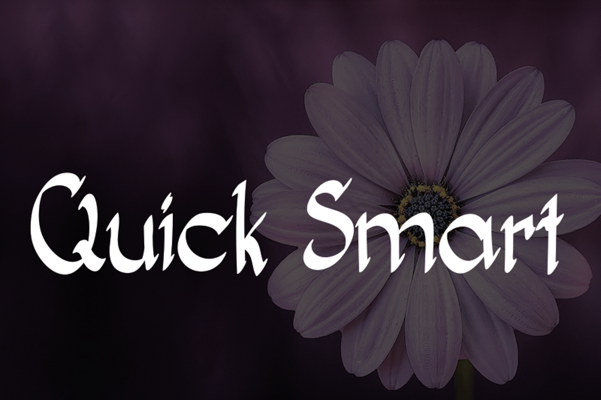 Quick Smart Font | Andika Studio | FontSpace