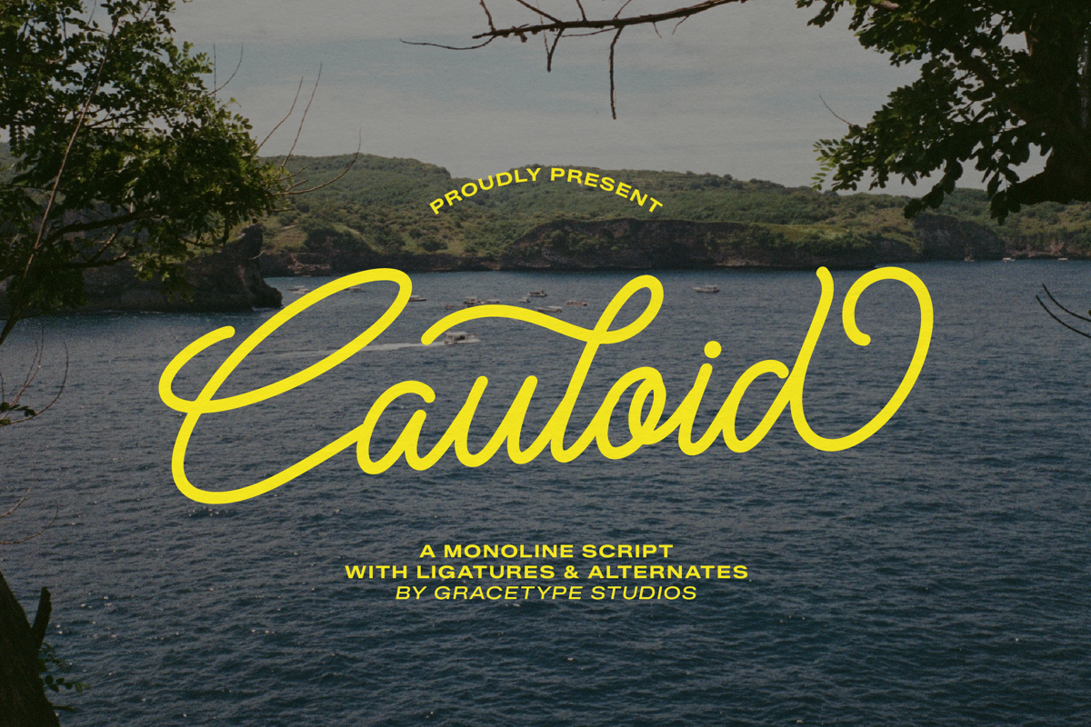 Cauloid Font - Free Download