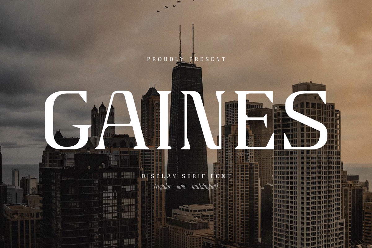 Gaines Font | Storytype Studio | FontSpace