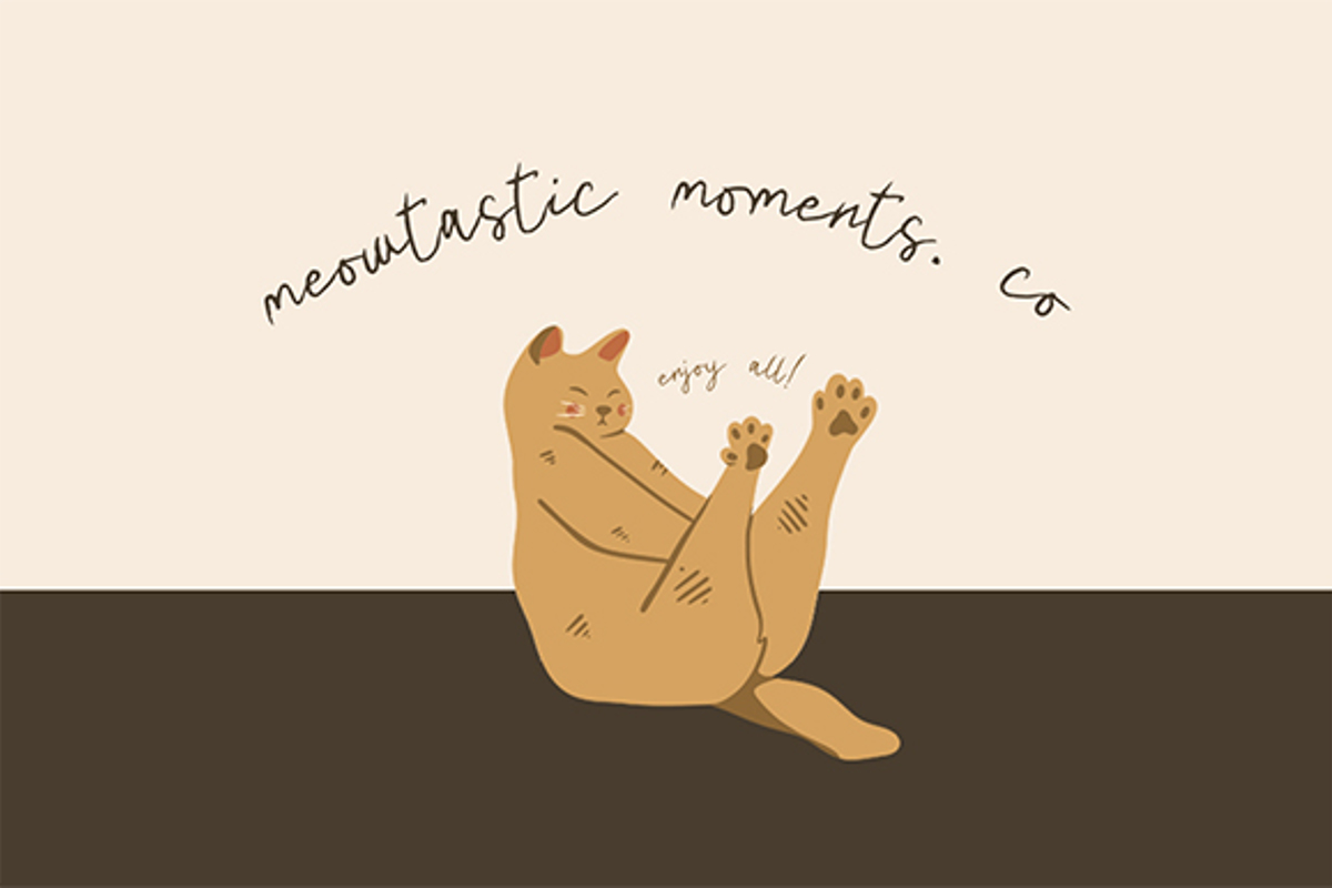 Weird is beautiful Font | Bluestype Studio | FontSpace