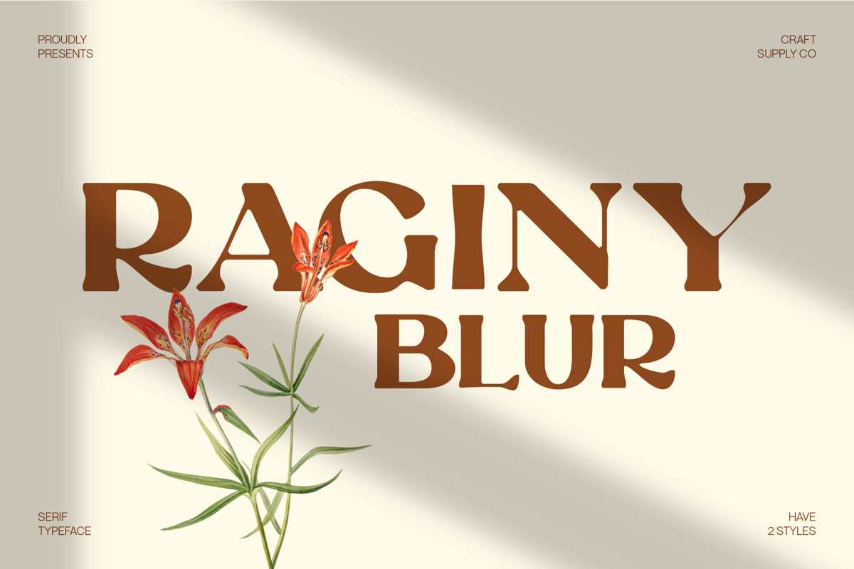 Raginy Blur Font | craftsupplyco | FontSpace