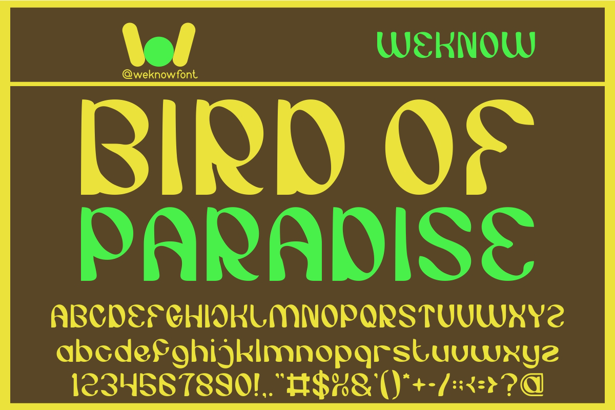 BIRD OF PARADISE Font - Free Download