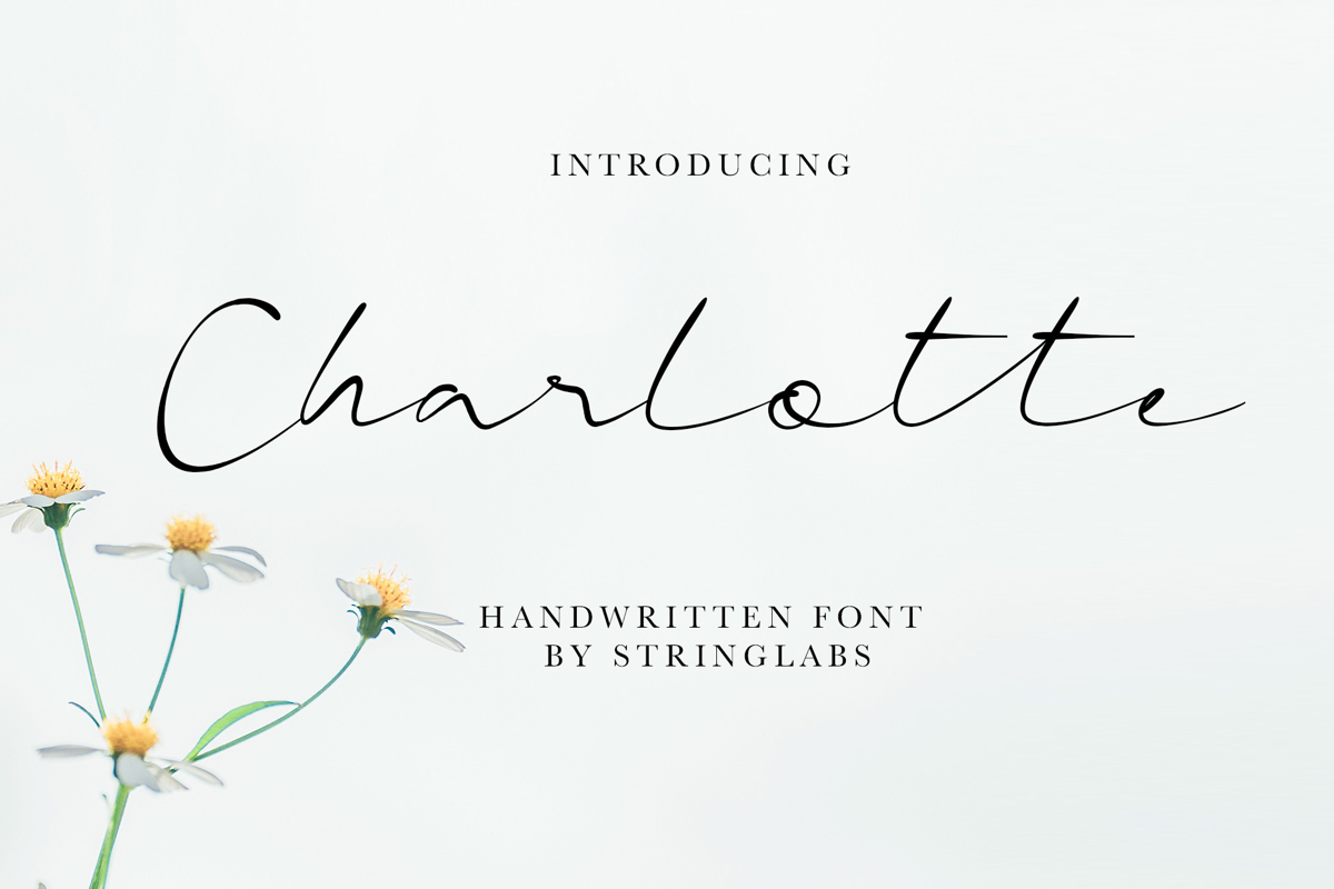 Charlotte Font - Free Download