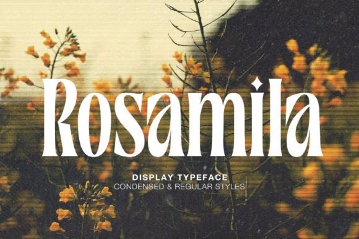 Rosamila Font | Solidtype | FontSpace