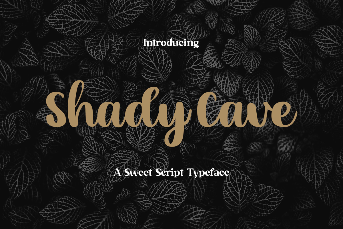 Shady Cave - Script Font | Rometheme | FontSpace