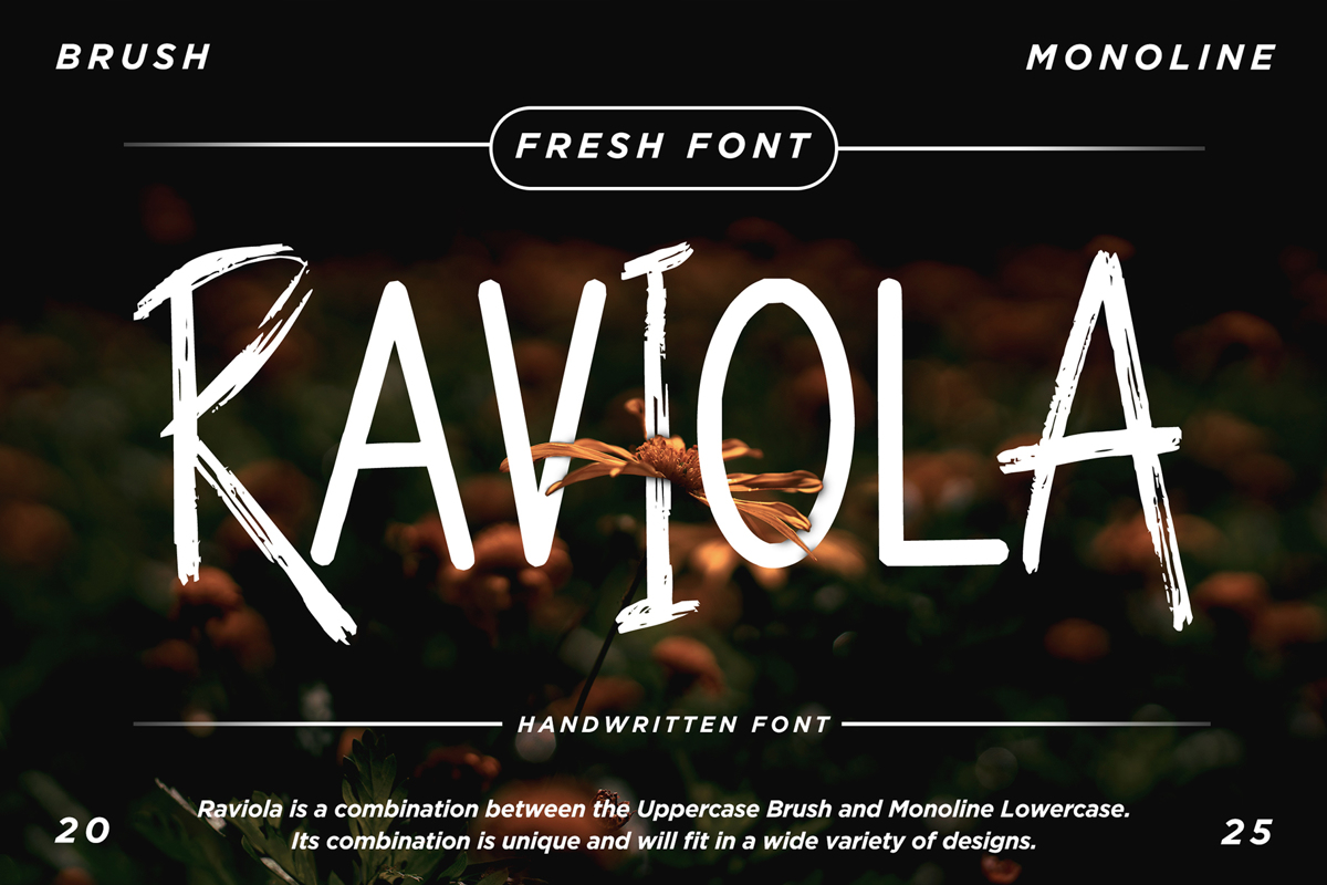 Raviola Font | Dmletter studio | FontSpace