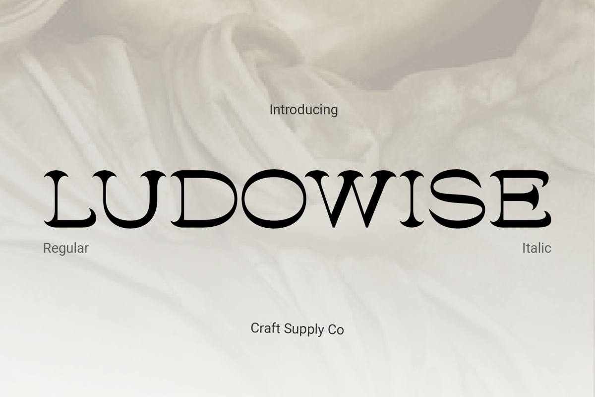 Ludowise Font | craftsupplyco | FontSpace