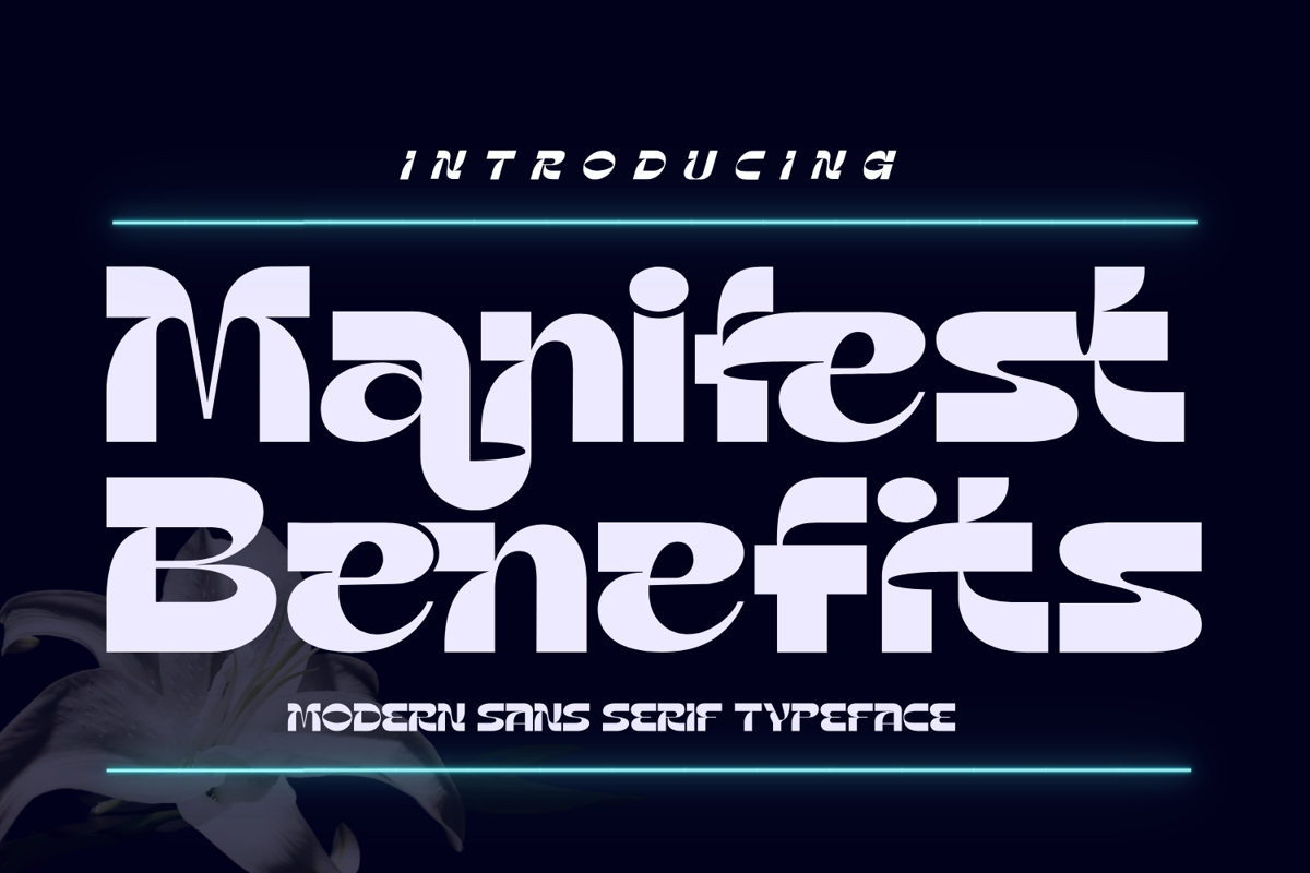 Manifest Benefits Font | 177Studio | FontSpace
