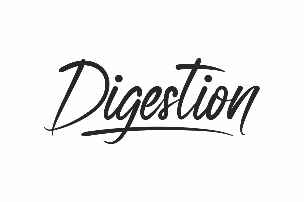 Digestion Font | NihStudio | FontSpace