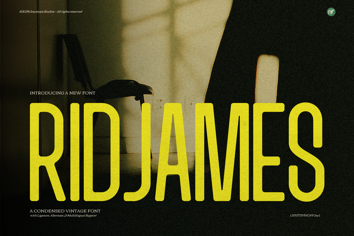 Ridjames Font - Free Download