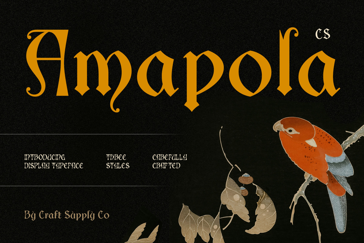 CS Amapola Font | craftsupplyco | FontSpace