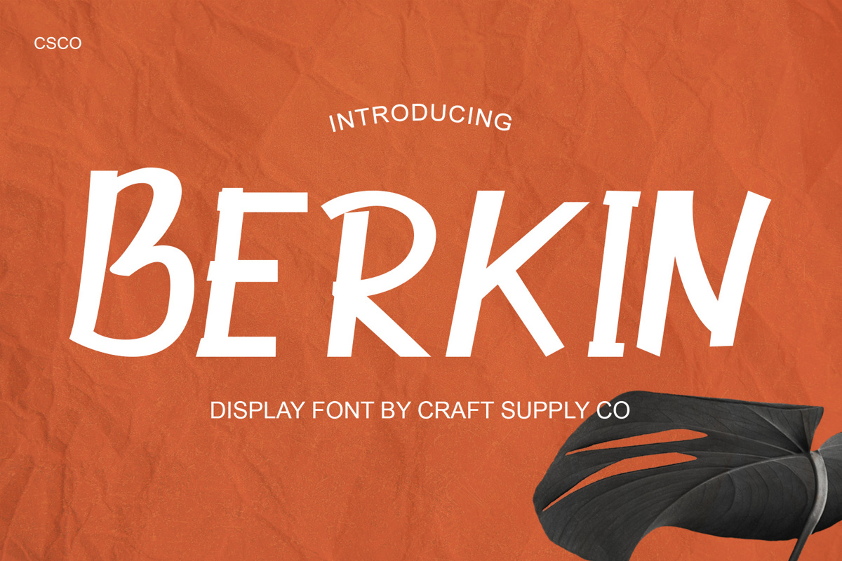 Berkin Font | craftsupplyco | FontSpace