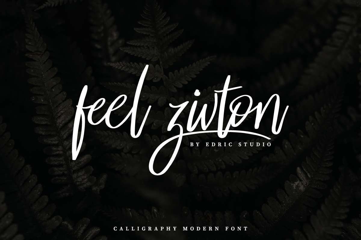 Feel Zivton Font | Edric Studio | FontSpace