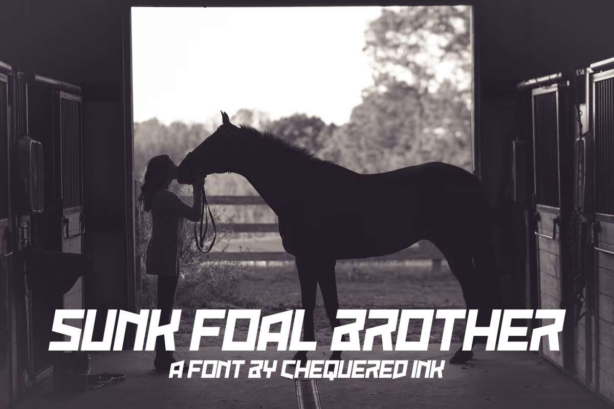 Sunk Foal Brother Font | Chequered Ink | FontSpace