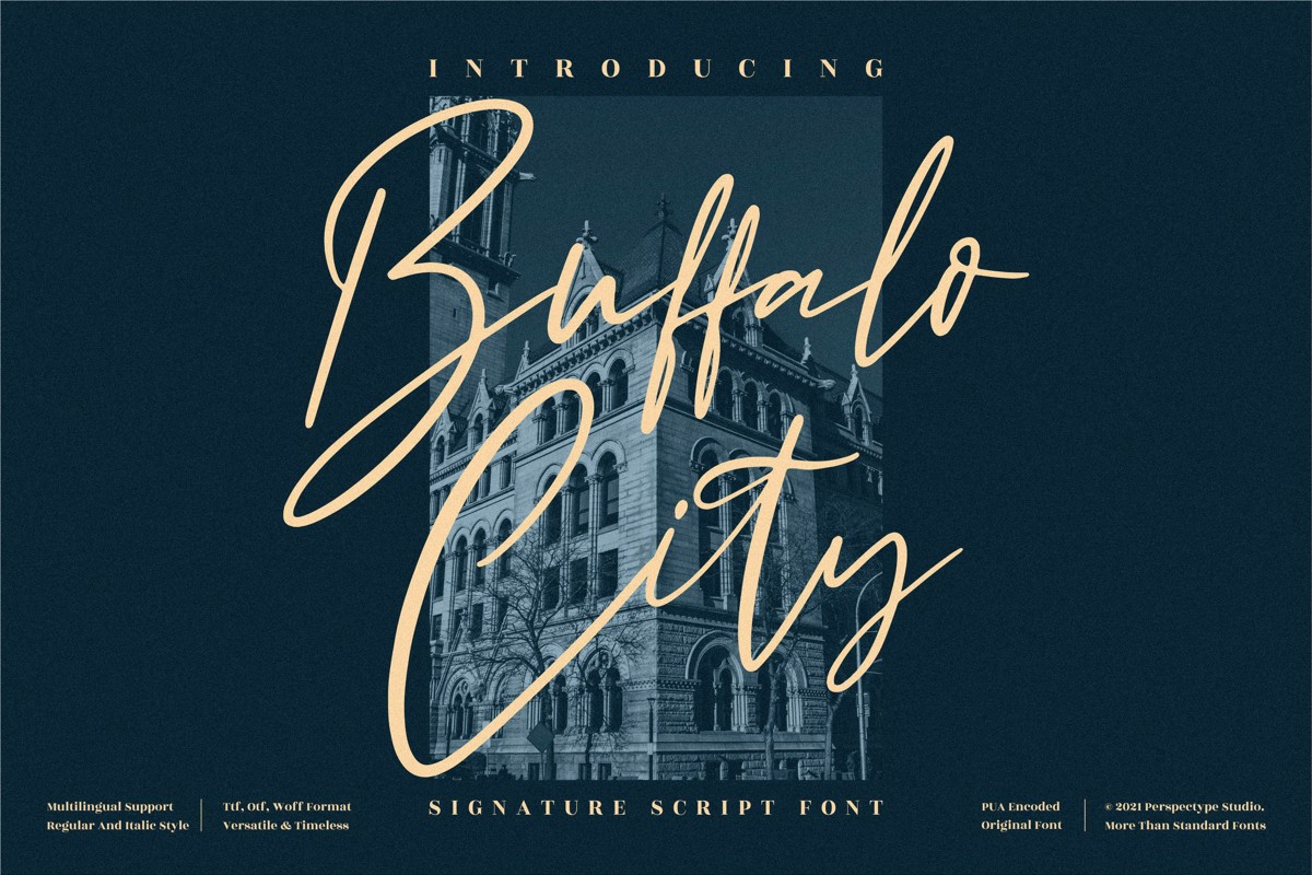 Buffalo City Font | Perspectype Studio | FontSpace