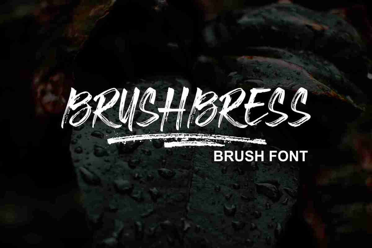 Brushbress Font | zamjump | FontSpace