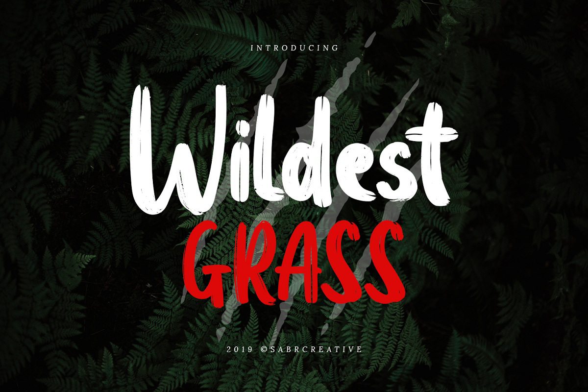 Wildest Grass Font - Free Download