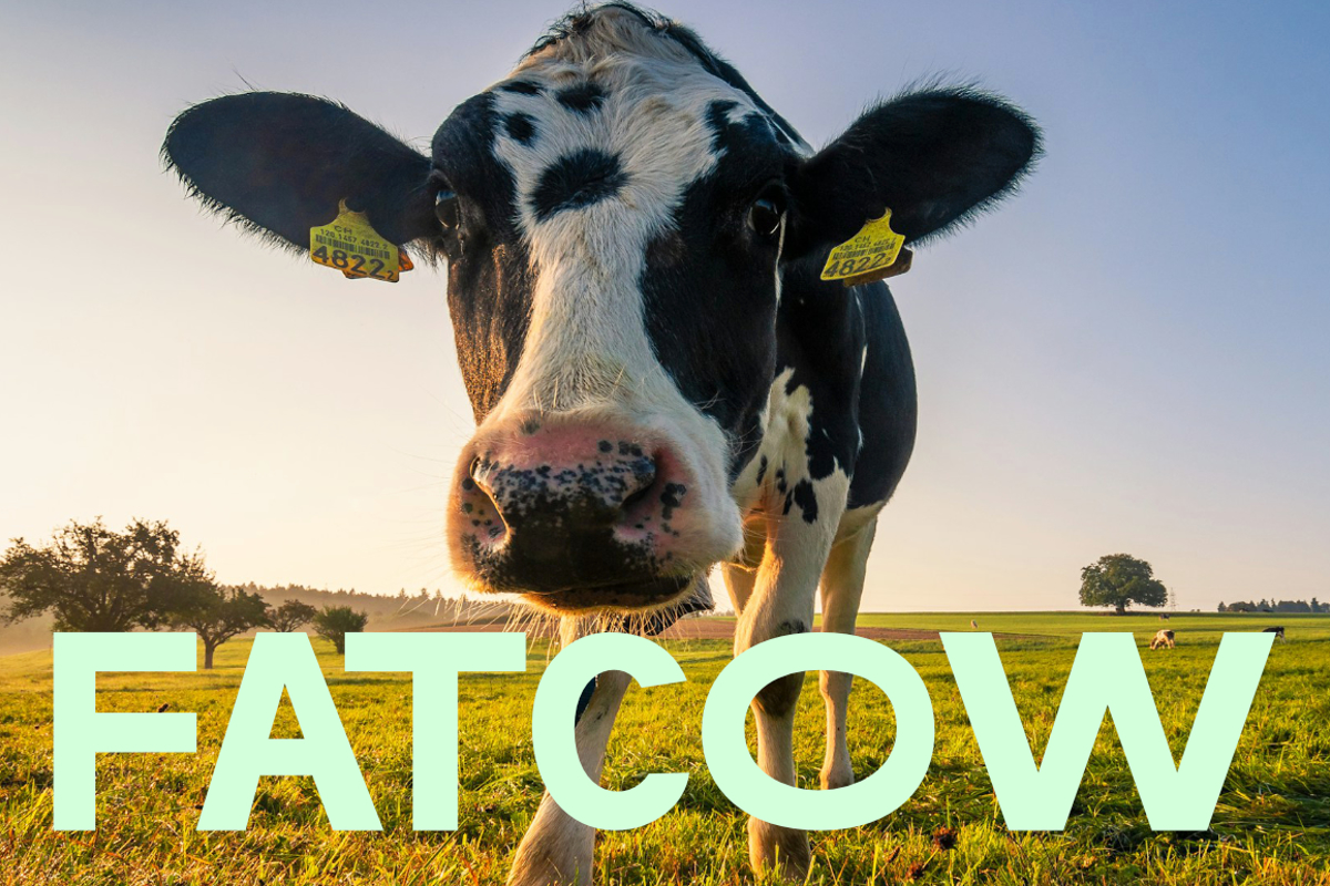 FF PQR Font | ffeeaarr | FontSpace