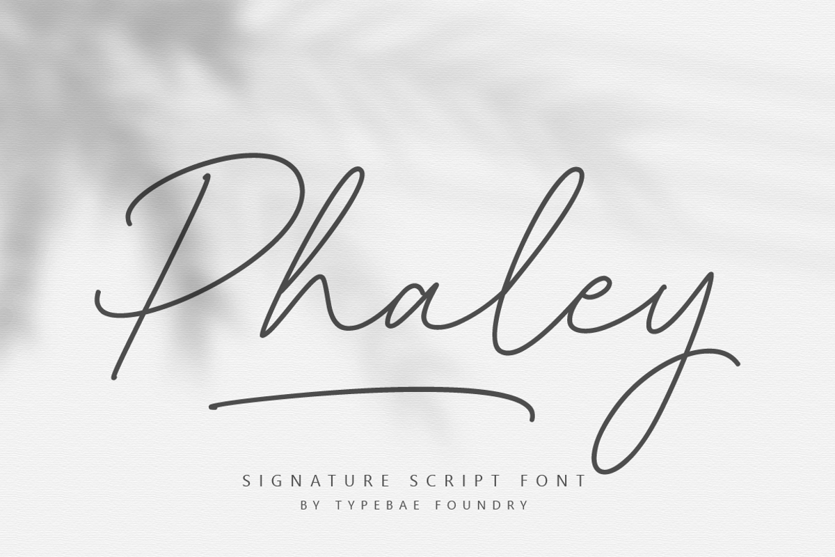 Phaley Font | Typebae | FontSpace