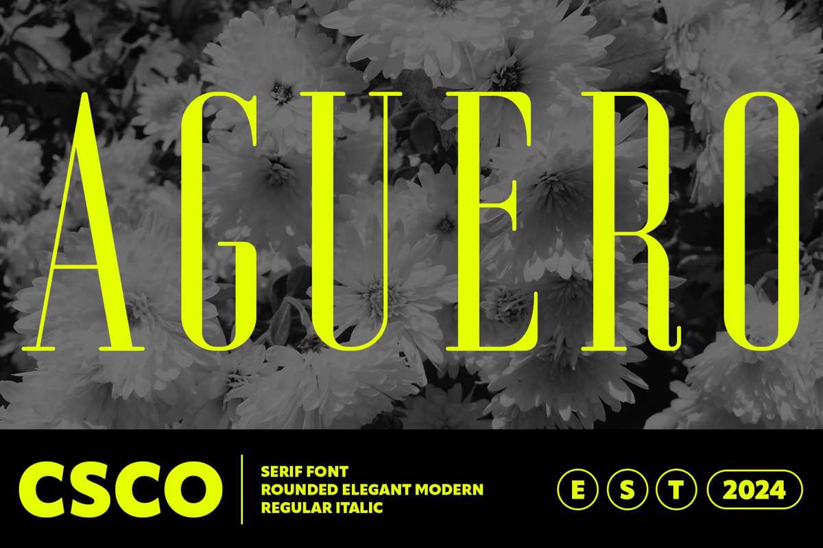 Aguero Serif Rounded Font | craftsupplyco | FontSpace