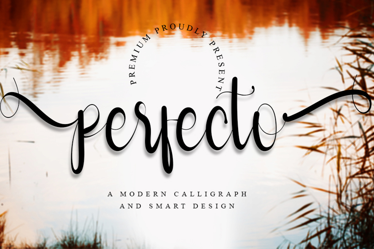 Perfecto Font | FreshTypeINK | FontSpace
