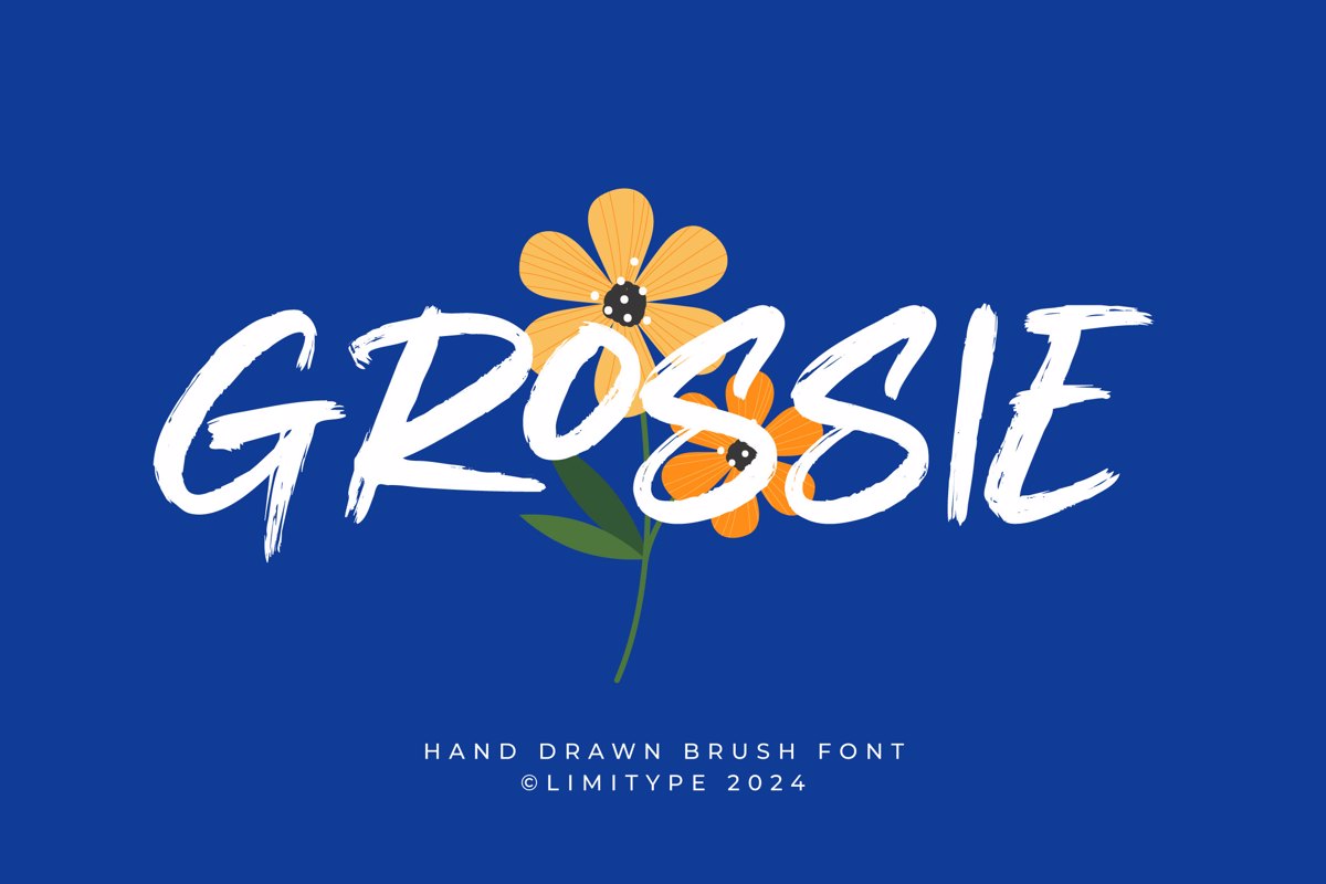 Grossie Font | limitype | FontSpace