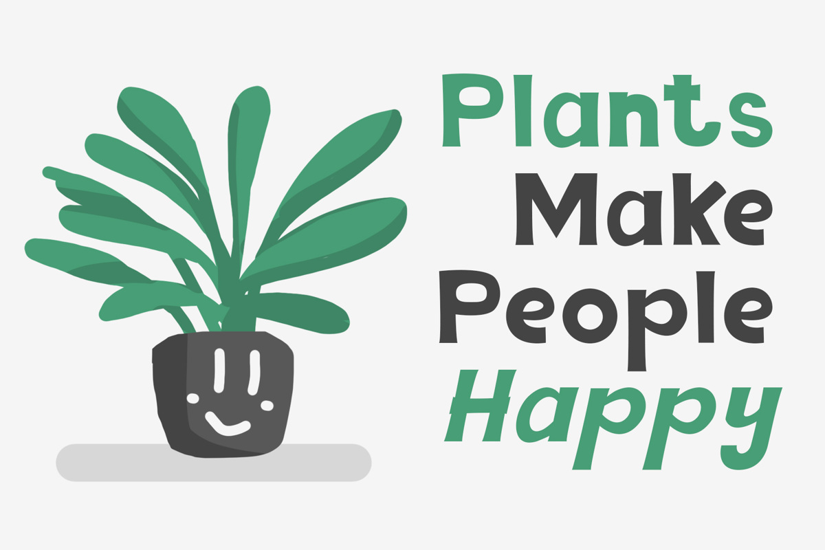 Namile Font - Free Download