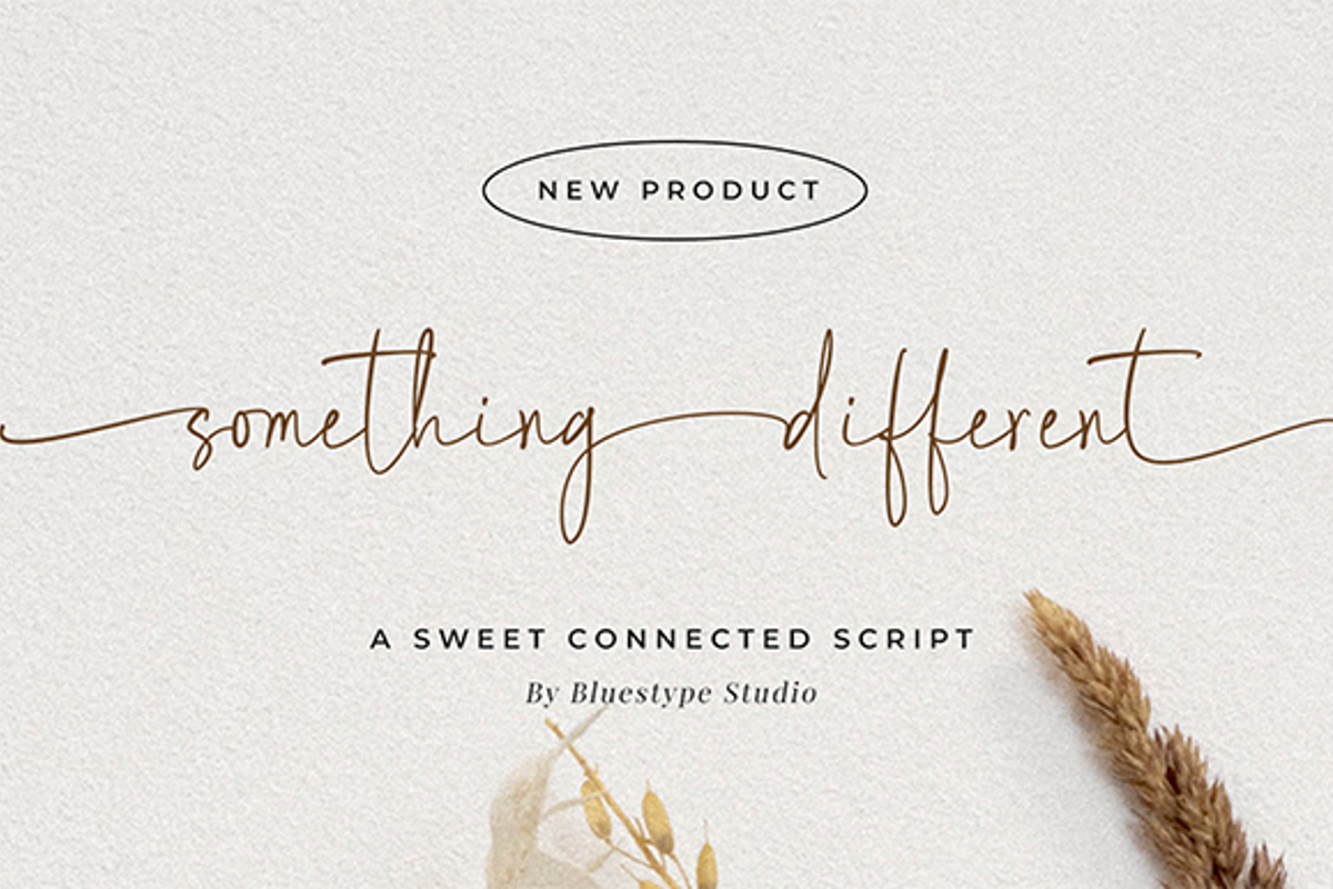 Something Different Font | Bluestype Studio | FontSpace
