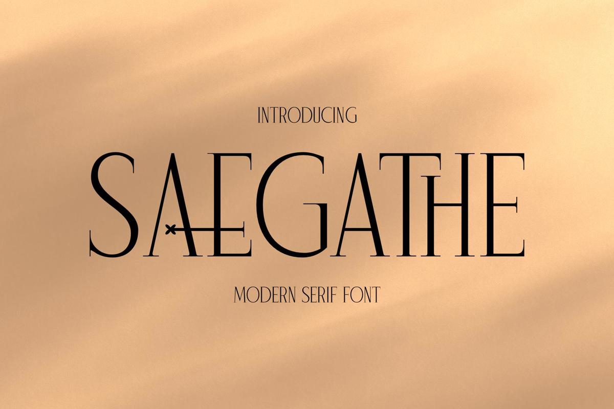 SAEGATHE Font | Storytype Studio | FontSpace
