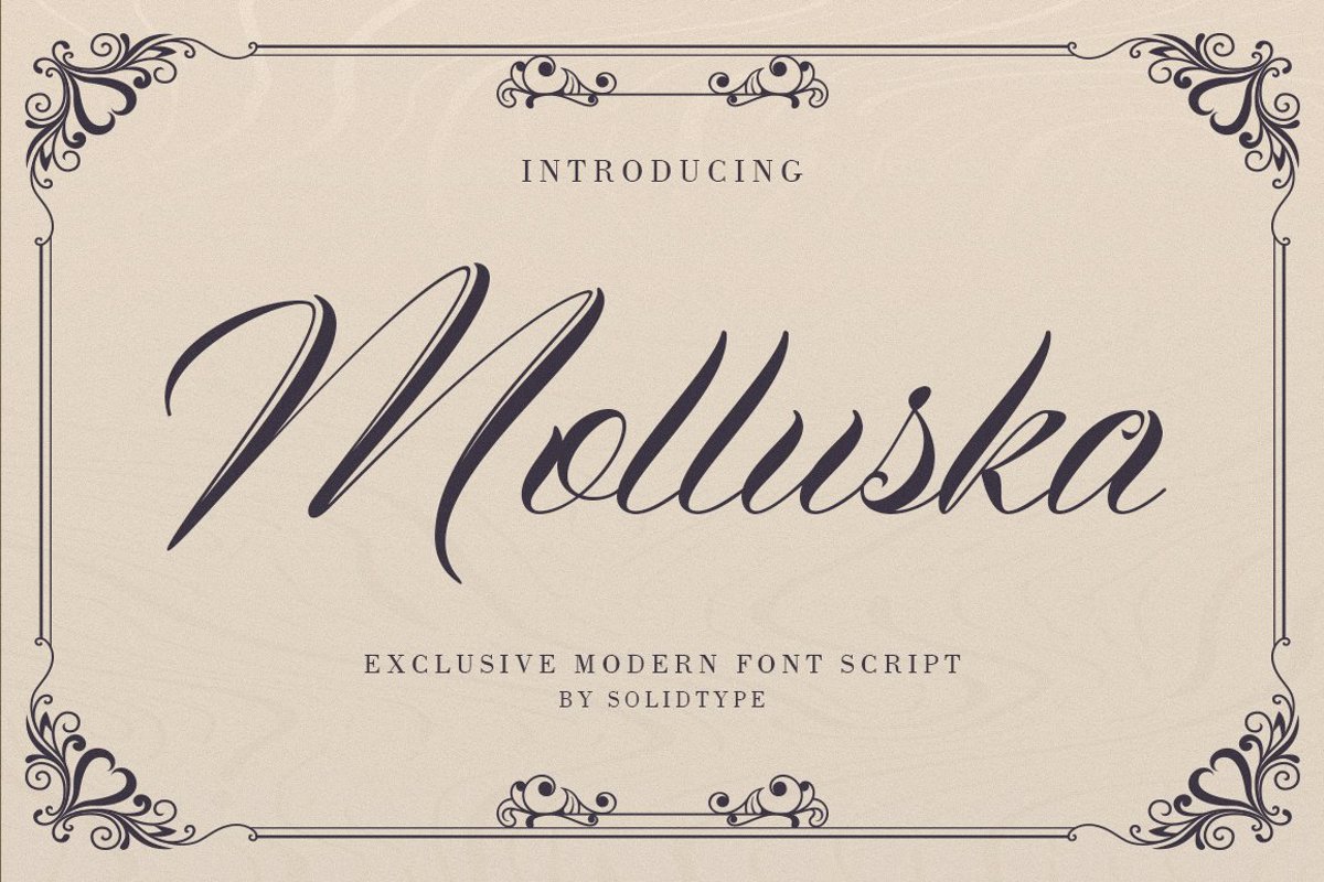 Molluska Font | Solidtype | FontSpace