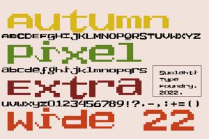Autumn Huismuis 22 Font | Suolahti Type Foundry | FontSpace