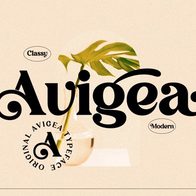 Natty Light | Collection | FontSpace