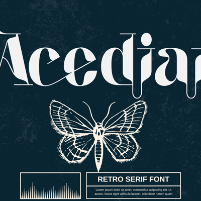 Favo Fonts | Collection | FontSpace