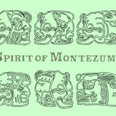 Mex | Collection | FontSpace