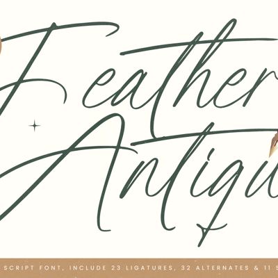 Fonts | Collection | FontSpace