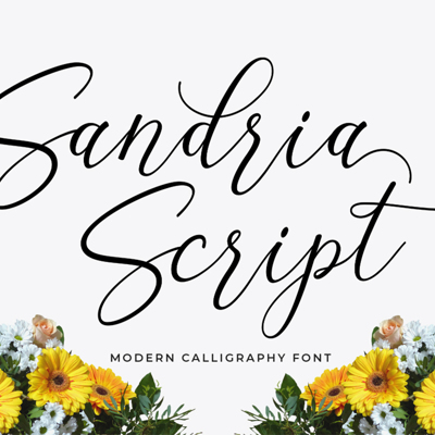 Dainty | Collection | FontSpace