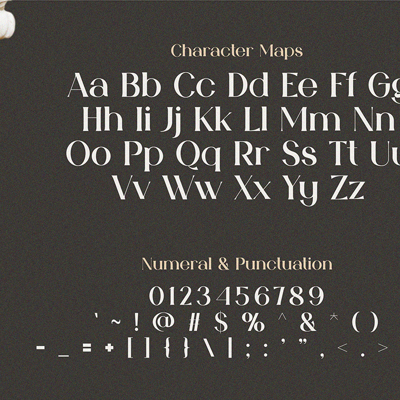 Sophisticated clean | Collection | FontSpace