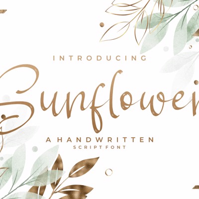 Fonts | Collection | FontSpace